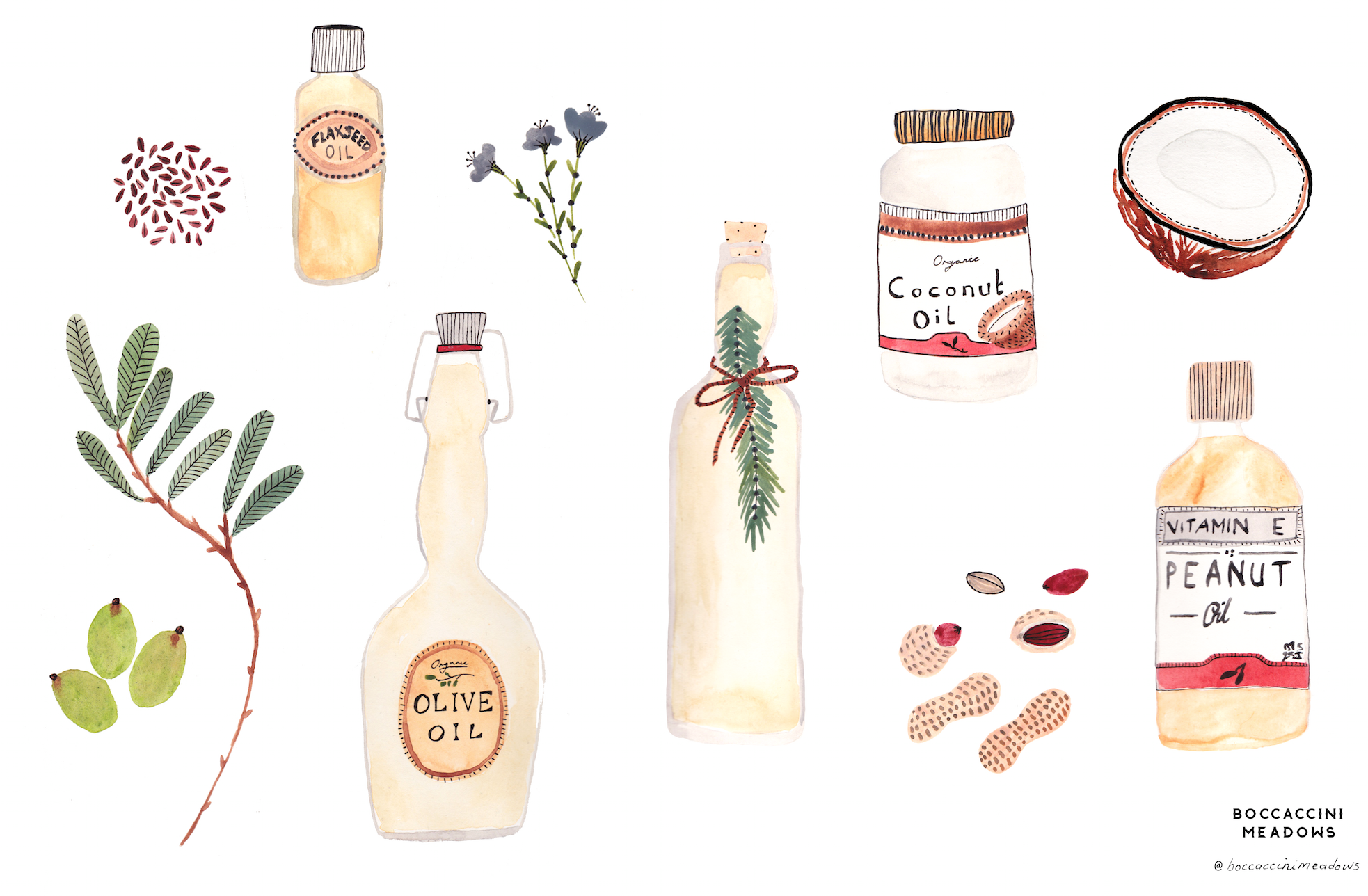 Choosing the Right Cooking Oil - Sunbasket