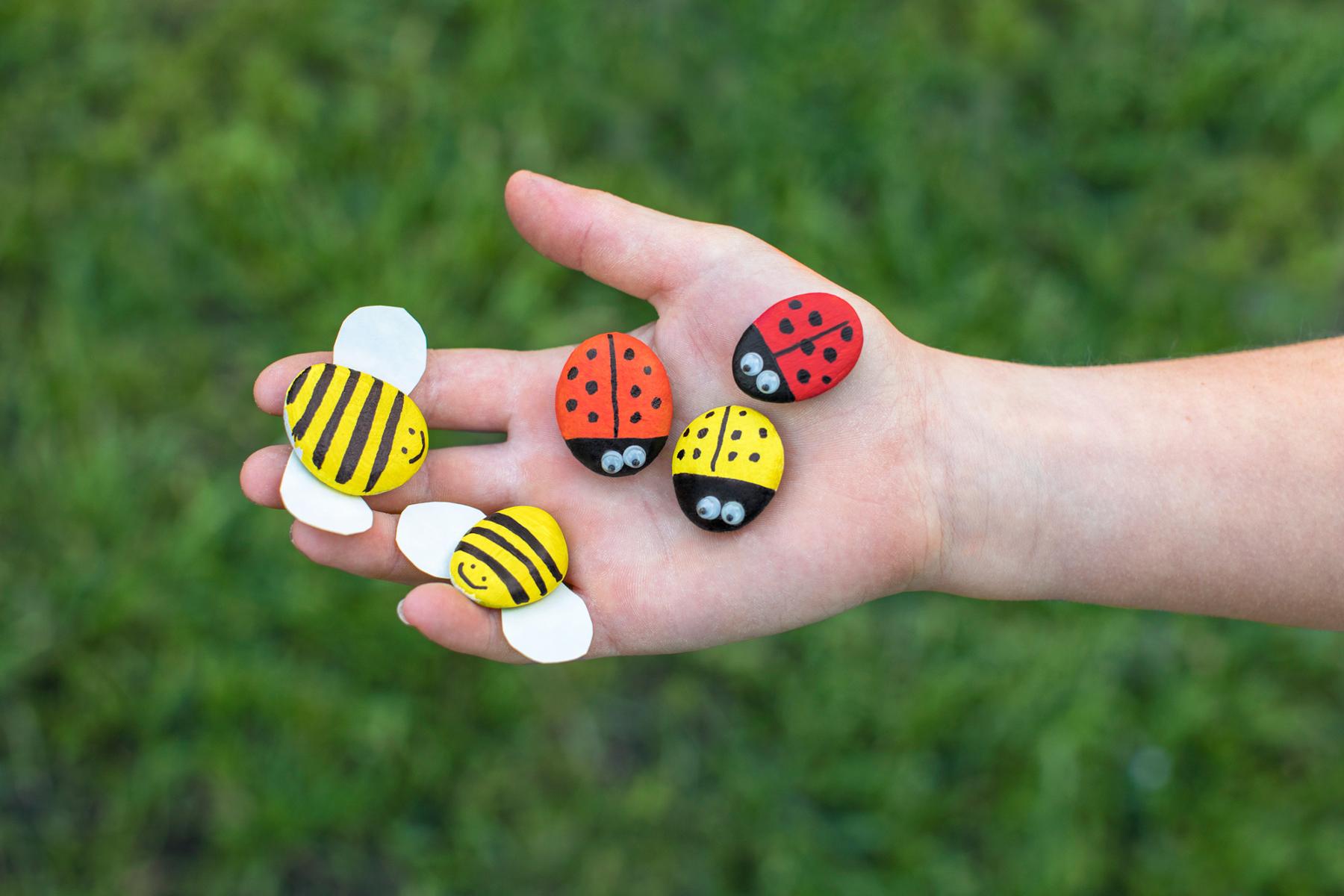 Painted Rock Garden Bugs - Sunbasket