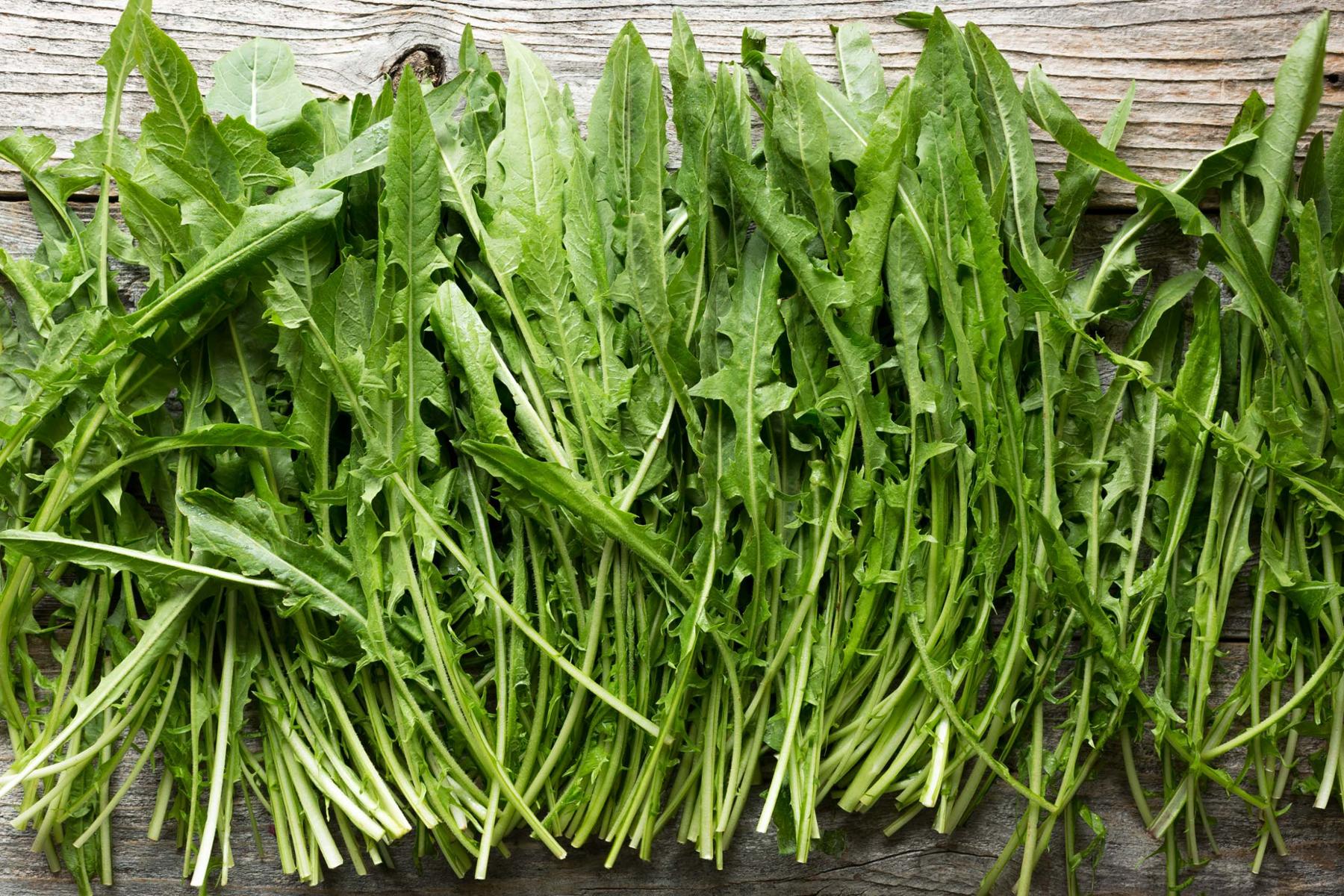 Dandelions for Dinner - Sunbasket