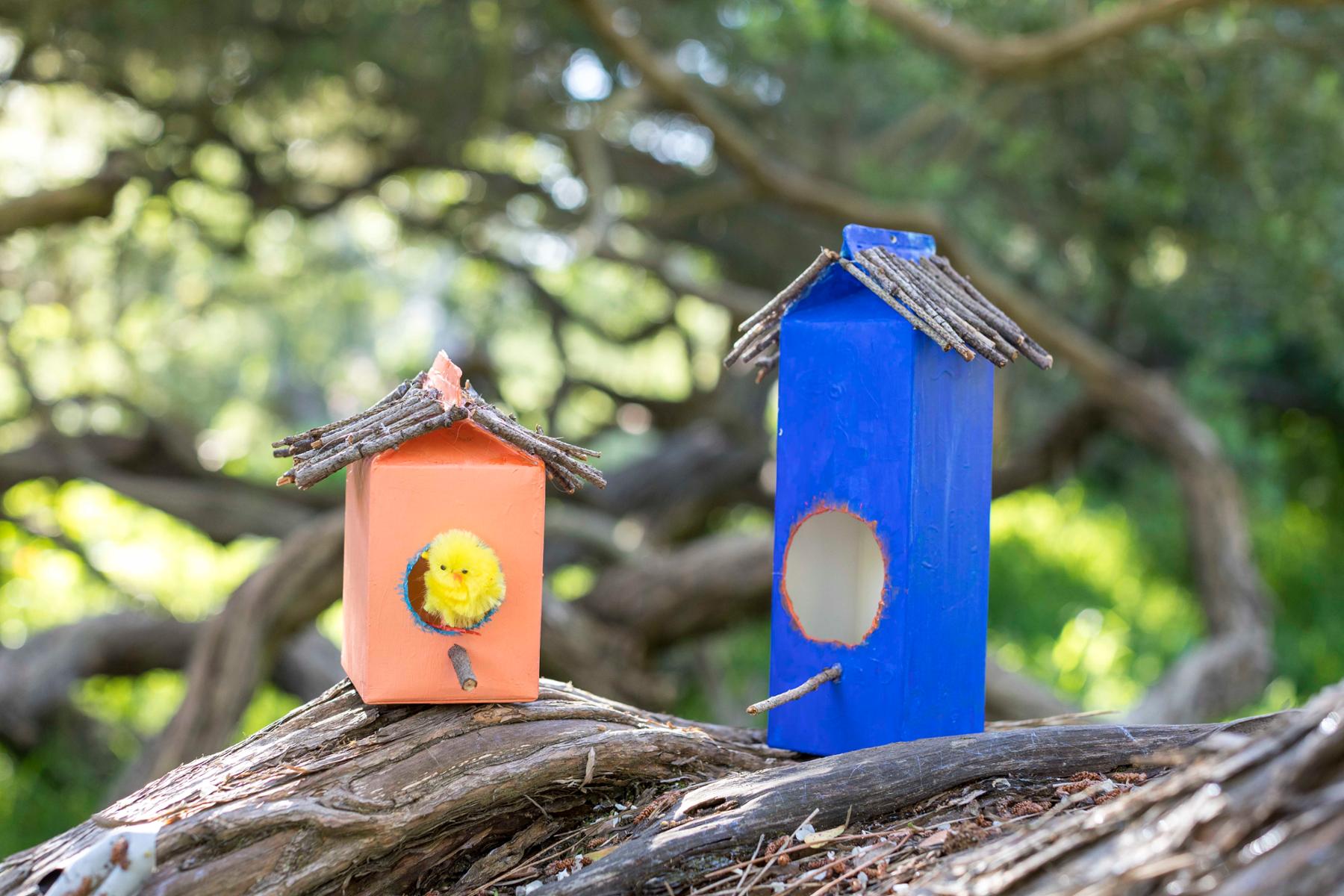 Milk-Carton Birdhouses - Sunbasket