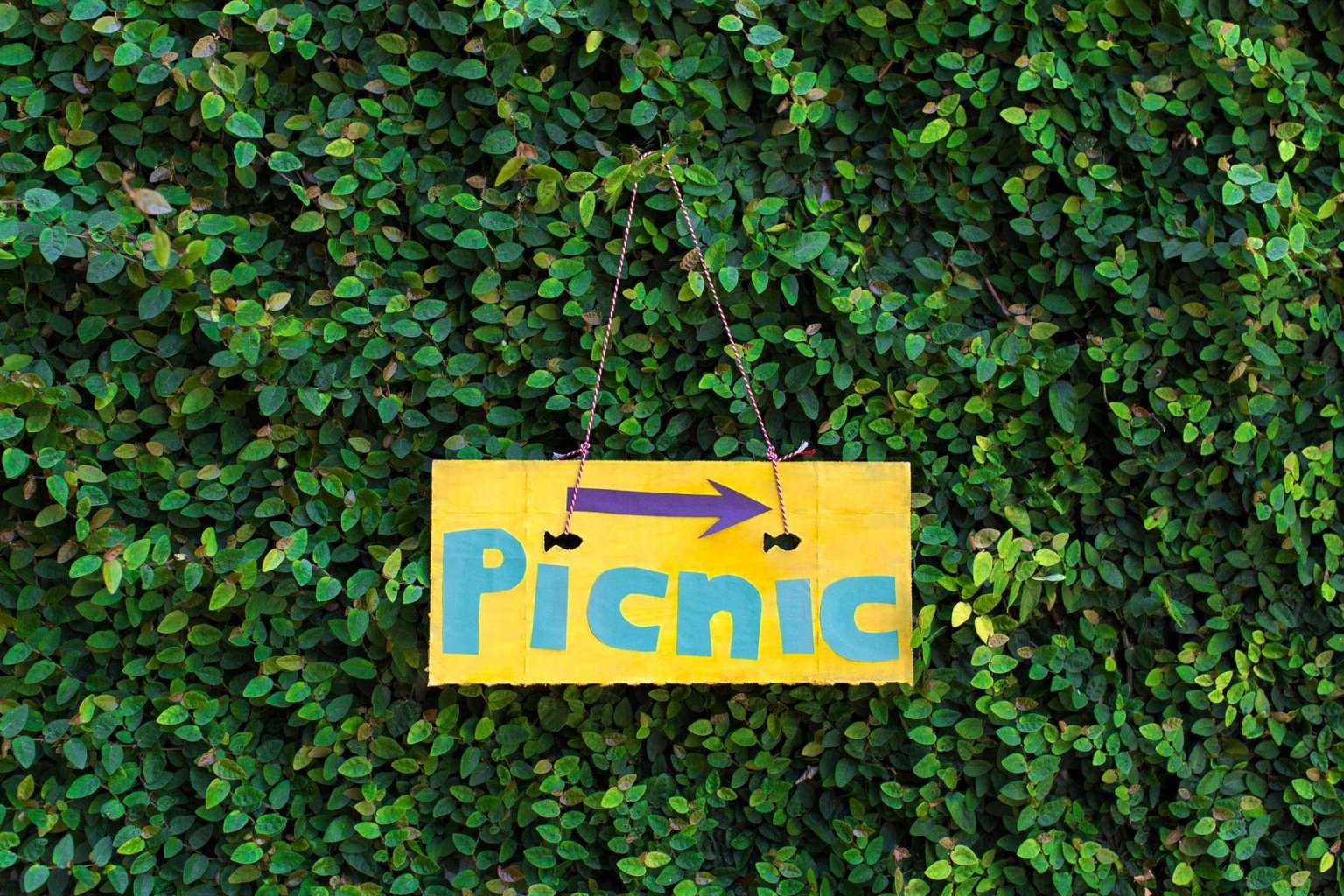 Make Your Own Signs - Sunbasket