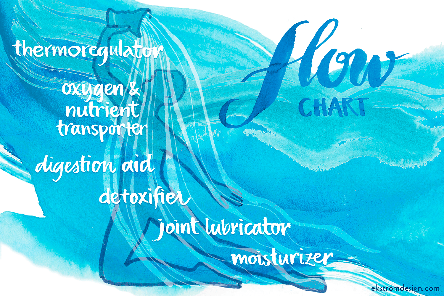 Hydrate for a Healthier You - Sunbasket