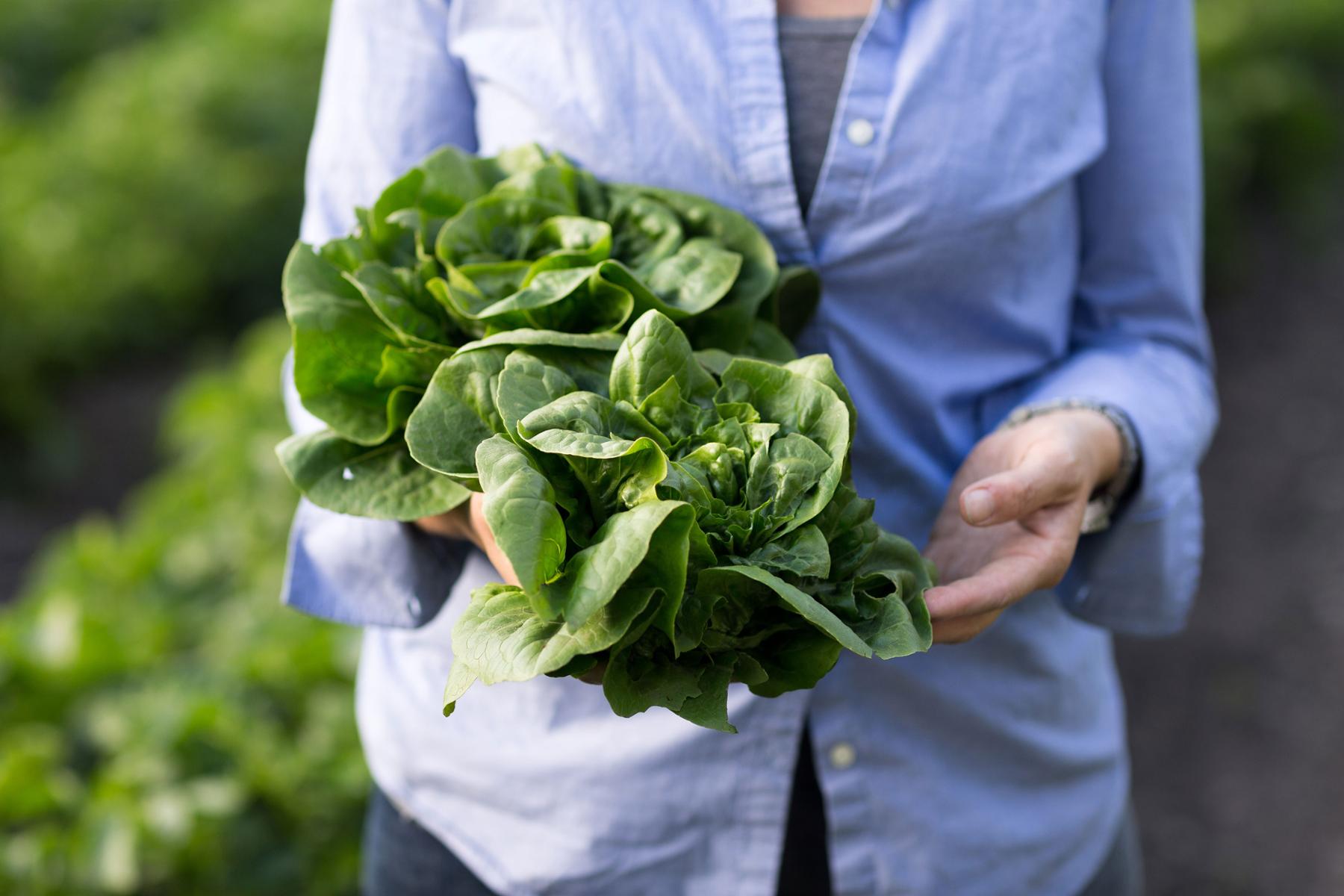 How A Healthy Diet Makes For A Healthier Planet Sunbasket